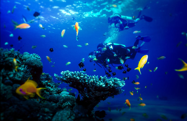 Diving in Malta: Best Diving Sites and Diving Centers + Tips | 2025