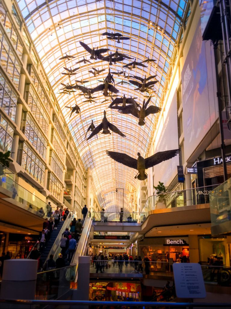 Visiter Toronto: TOP 17 des choses à faire et à voir | Voyage Canada
