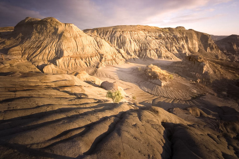 11 Epic Things to Do in Calgary (Perfect First Time Visit)