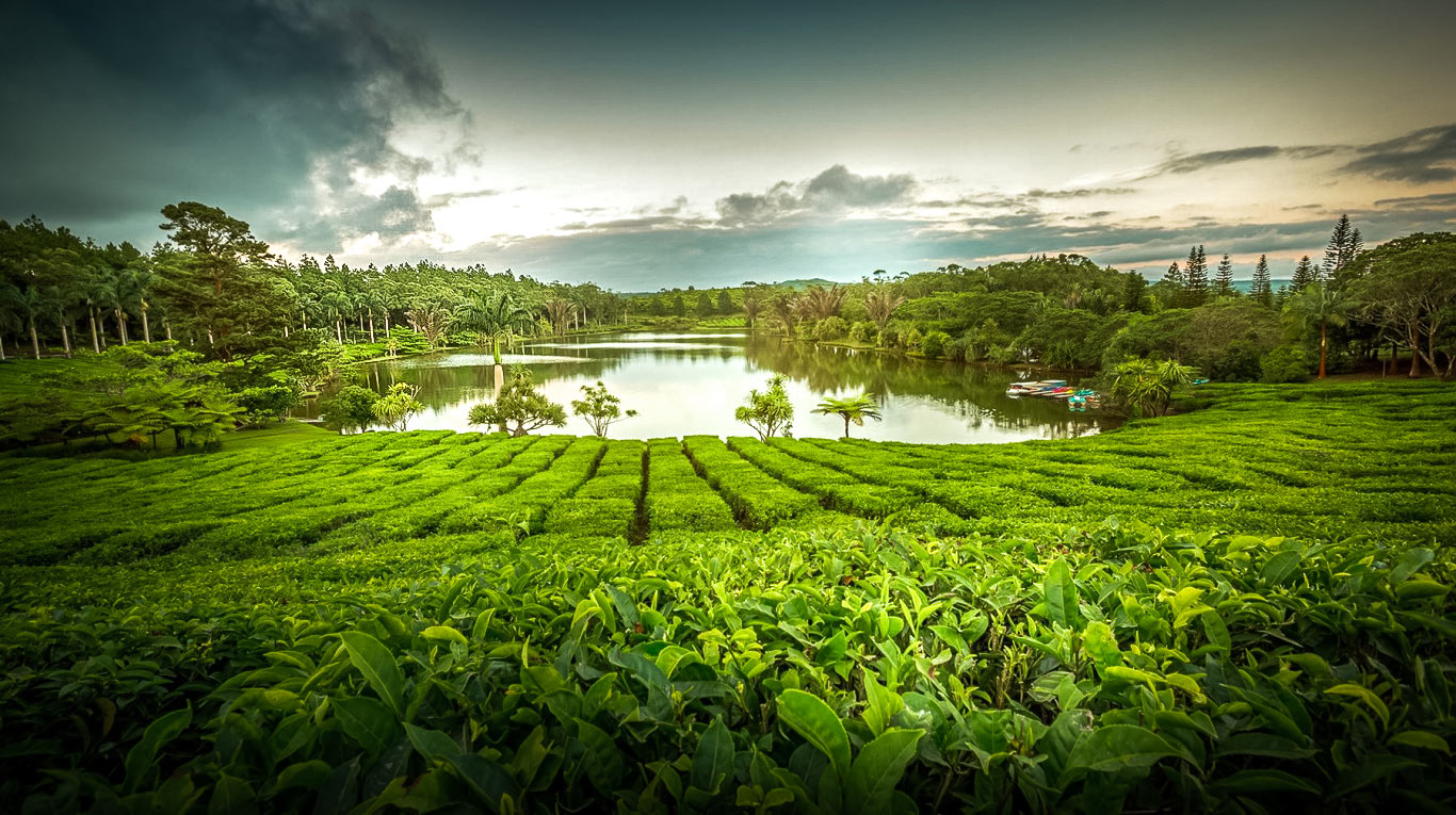 Que faire a l'ile Maurice: TOP 20 des lieux à voir et visiter | Voyage Tips