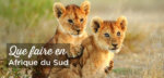 Que Faire en Afrique du Sud? TOP 15 des lieux à visiter | Voyage Tips
