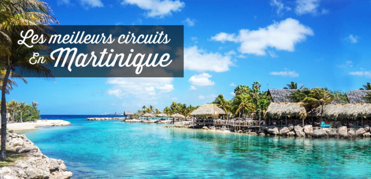 Les 5 meilleurs circuits en Martinique | Notre Sélection | Voyage Tips