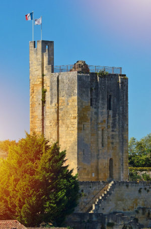 15 Cosas que Ver y Hacer en Saint Emilion (+ Consejos)